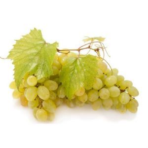 Raisin 'Blanc' frais et sans traitement en direct du producteur ...